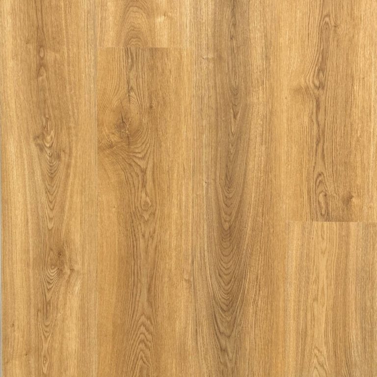 Terroso GALAXY LINE Serie Orion Silence Wide. Al mejor precio